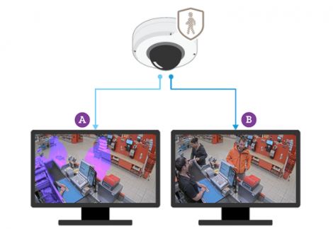 Axis Live Privacy Shield - Free Download 01931-001